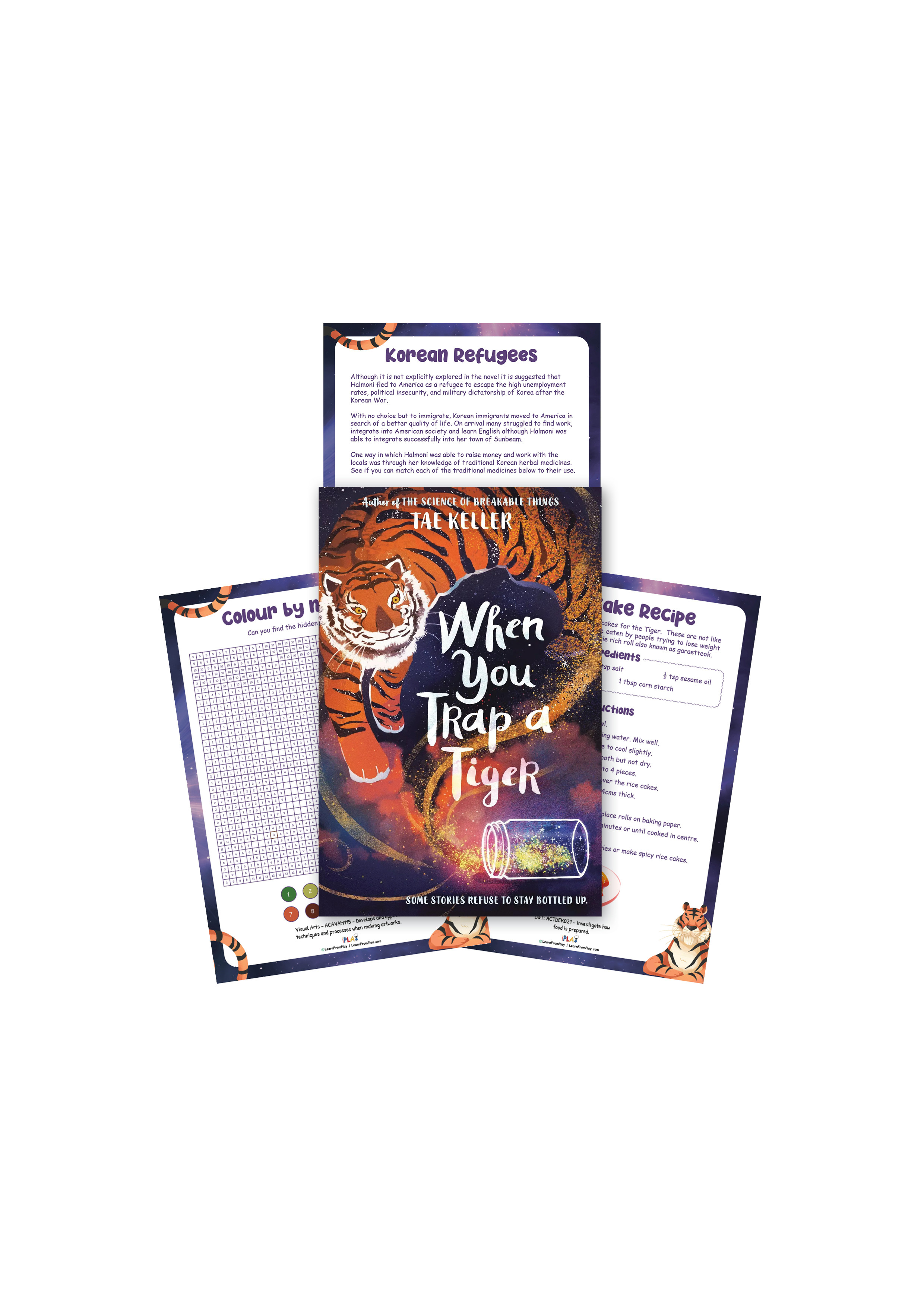 When You Trap A Tiger Book Activities