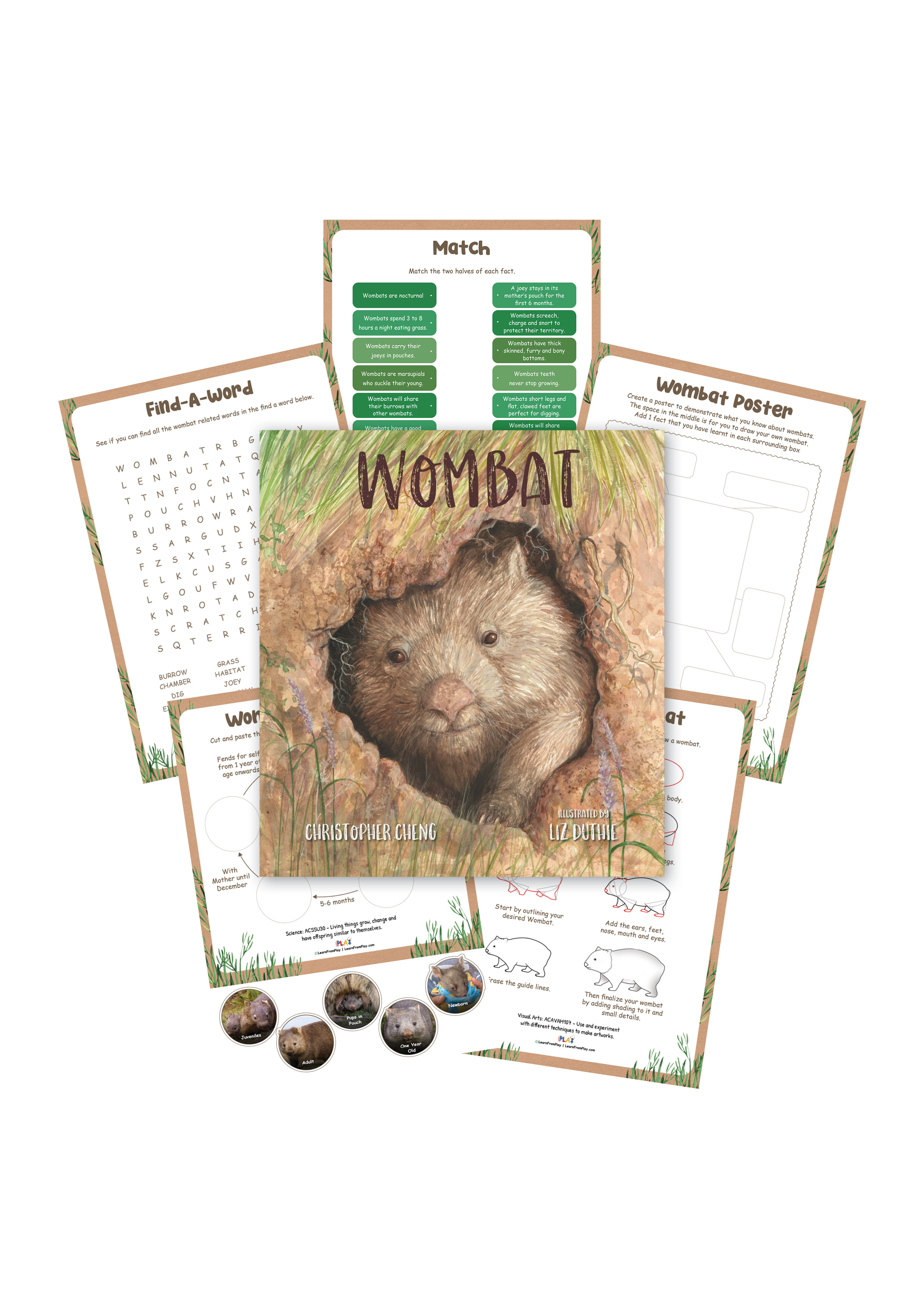 Wombat Book Activities | Learn From Play 2025