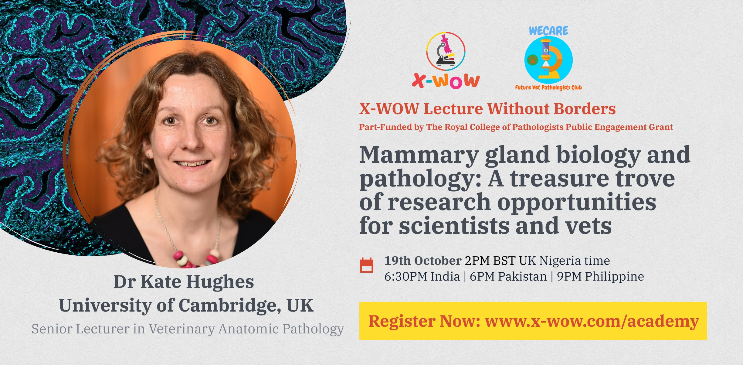 Lecture by Dr Kate Hughes (University of Cambridge) | X-WOW!