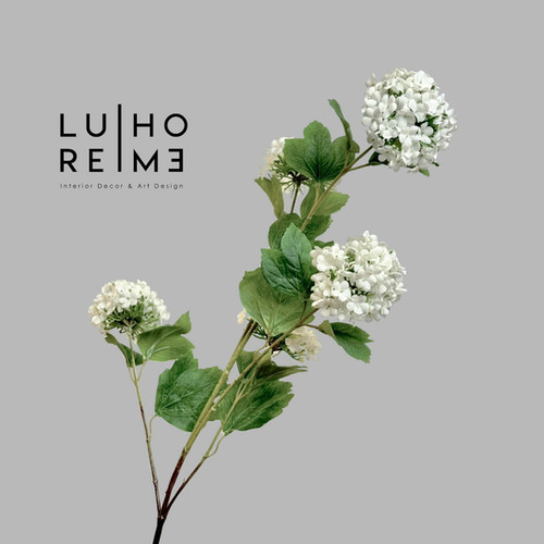 HOA LI TI CHÙM | LureHome Decor