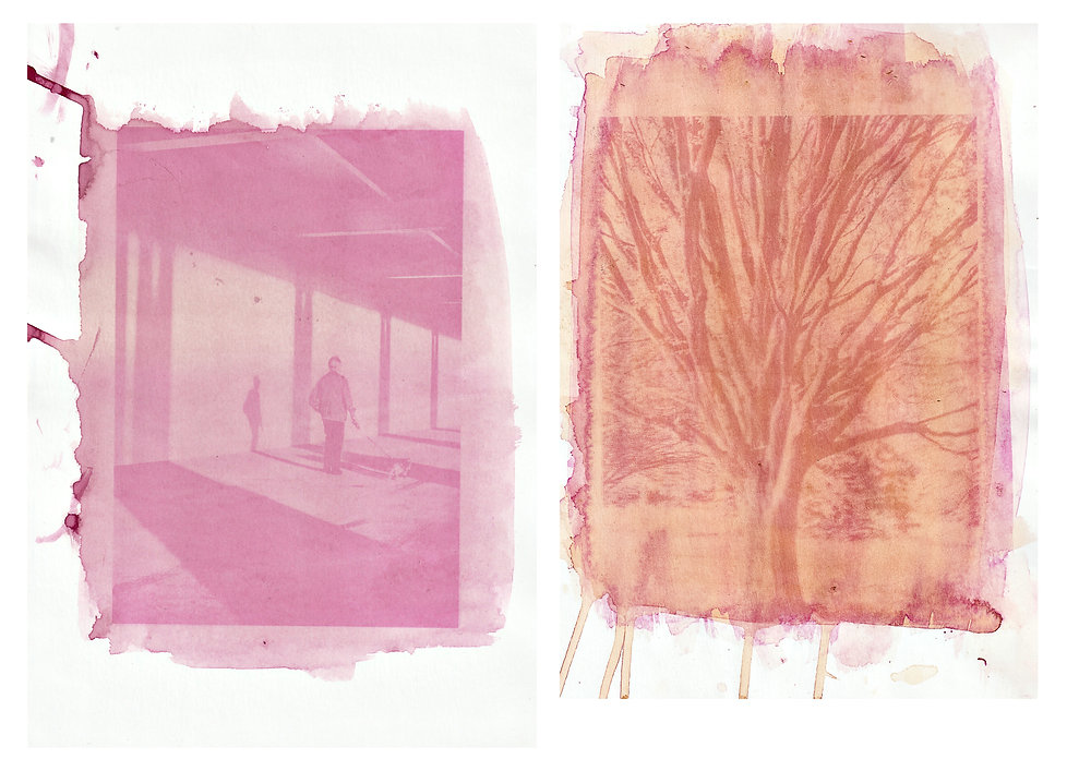 ANTHOTYPE AND CYANOTYPE PRINTING