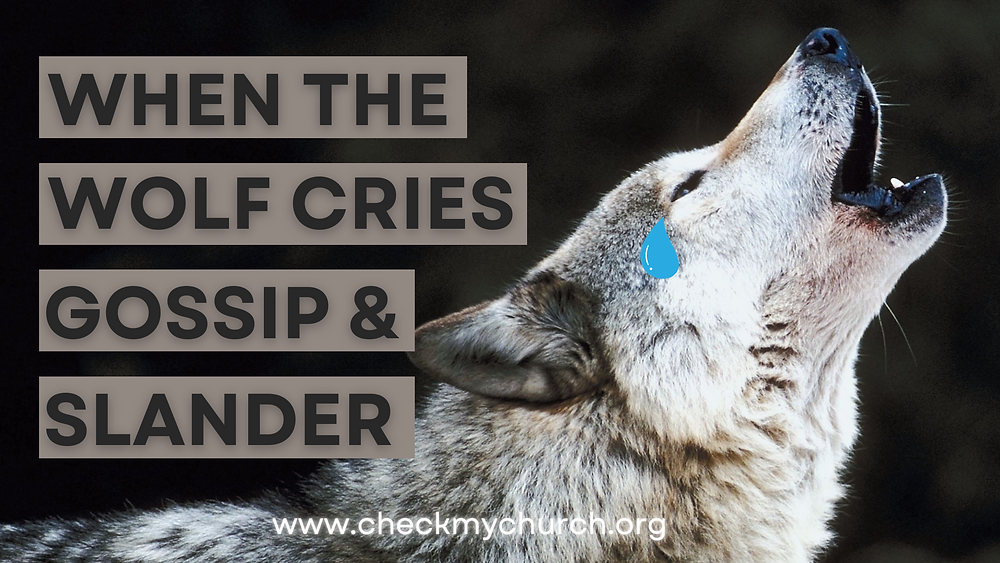 Why Wolves Cry Gossip & Slander | Behaviors of Wolves in Sheep's Clothing