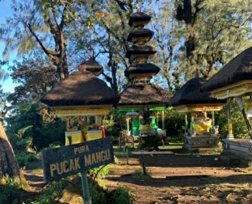 Home | DESA WISATA PLAGA