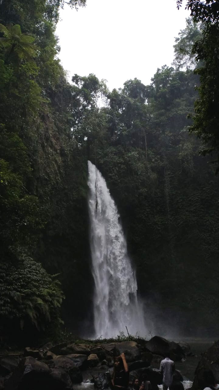 Home | DESA WISATA PLAGA