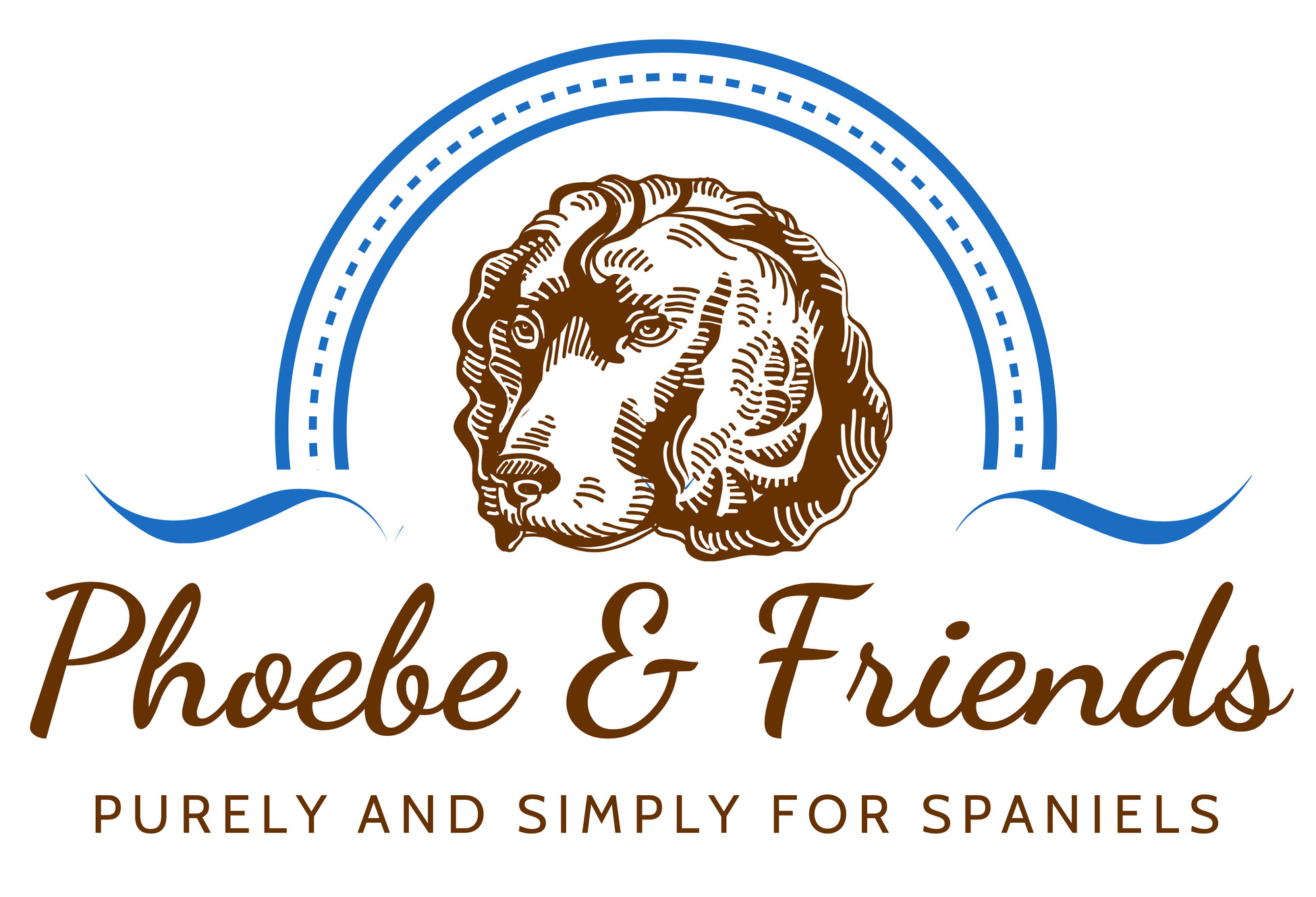 Phoebe & Friends | spaniel training surrey hampshire | Farnham, UK