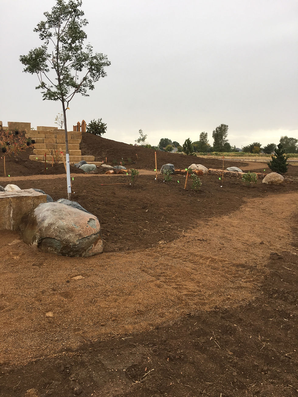 Reclamation | Verdant Environmental LLC | United States