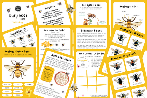 Busy Bees Nature Study PDF | Blossom and Stardust