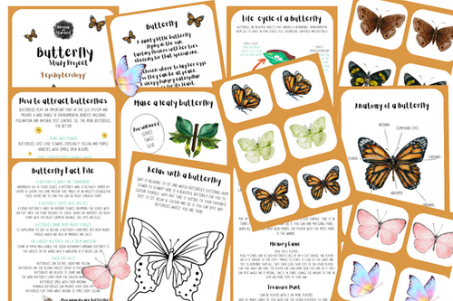 Butterfly Nature Study PDF | Blossom and Stardust