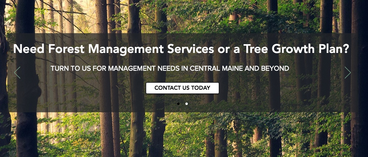 FOREST MANAGEMENT | McIntoshForestry