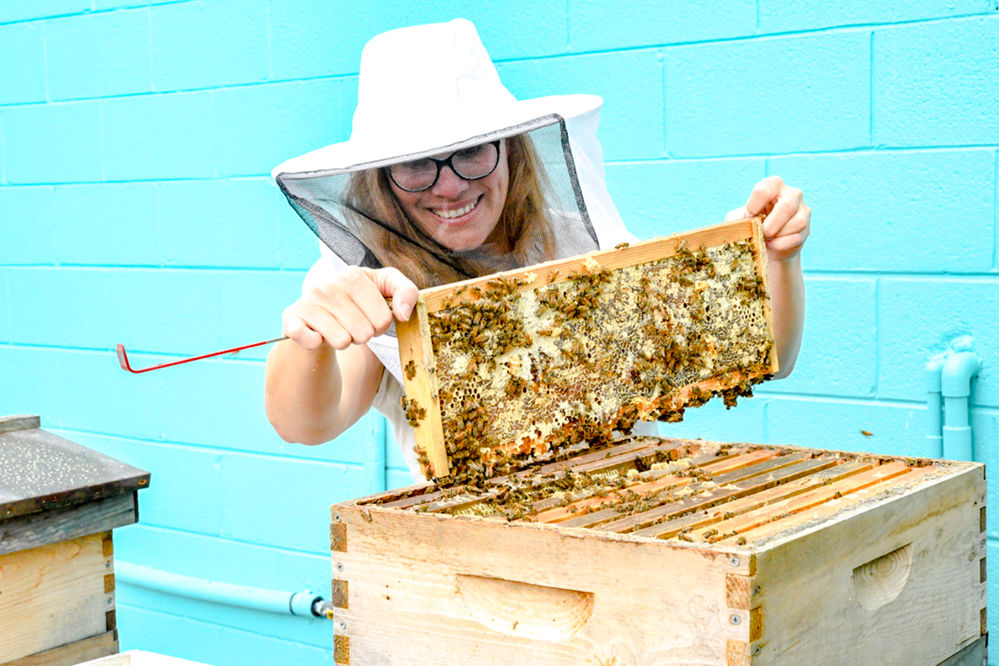 Savannah Bee Company Offers Honeybee Garden Tours and a visit to their ...