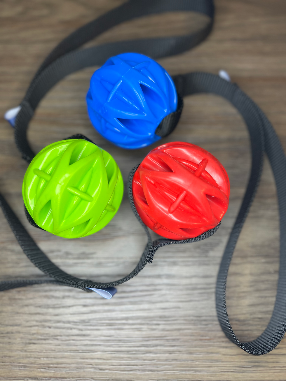 Airborne K9 Dog Training | Canine Training and Behavior Center