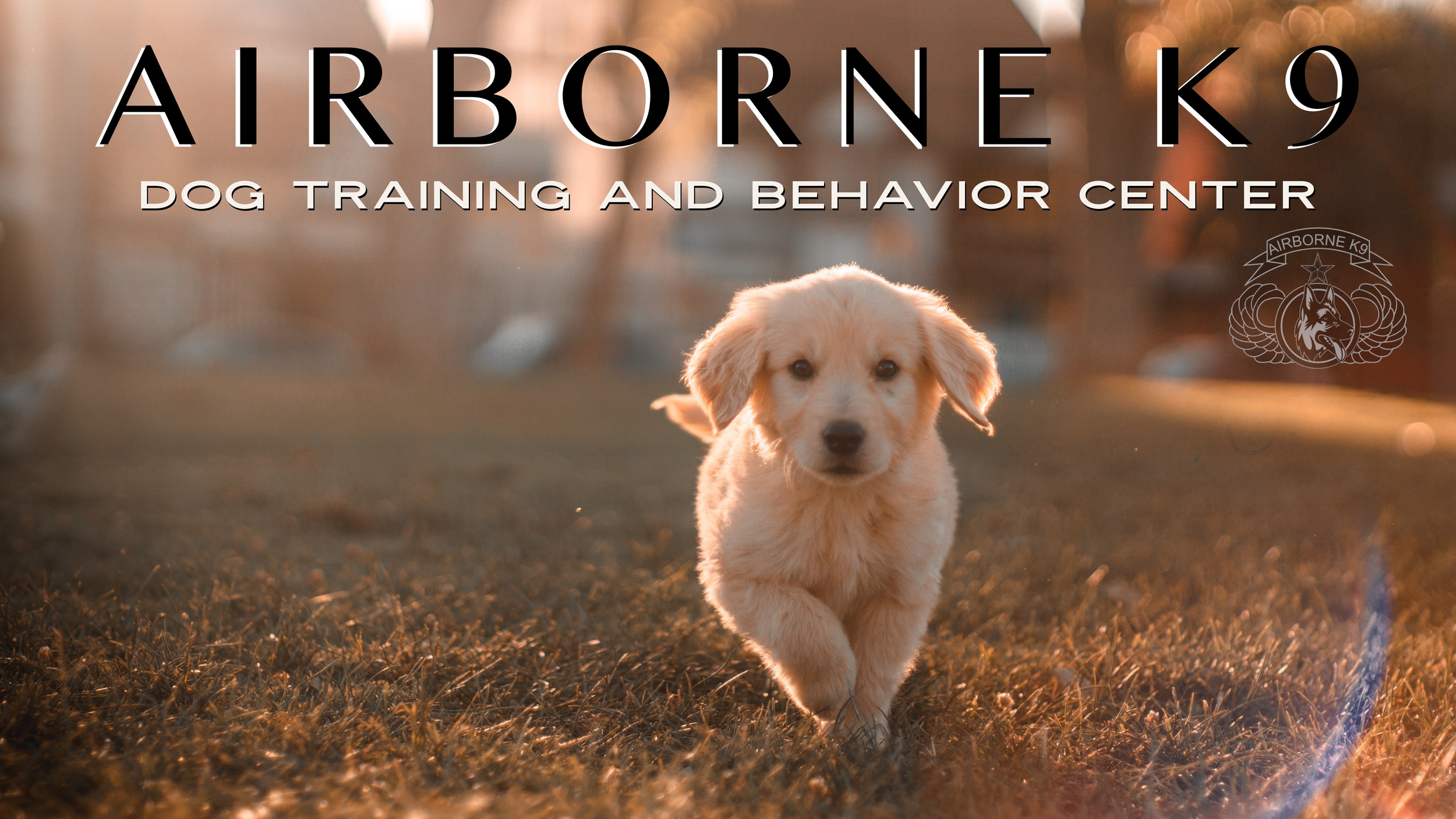 Dog Training | Airborne K9| United States