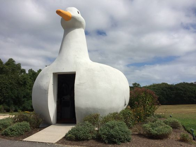 "Duck Architecture"