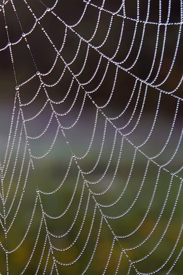 The Catenary Curve: Unravelling the Mystery of Hanging Chains