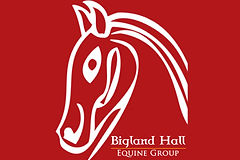 Horse Riding | Bigland Hall Equine Group | England