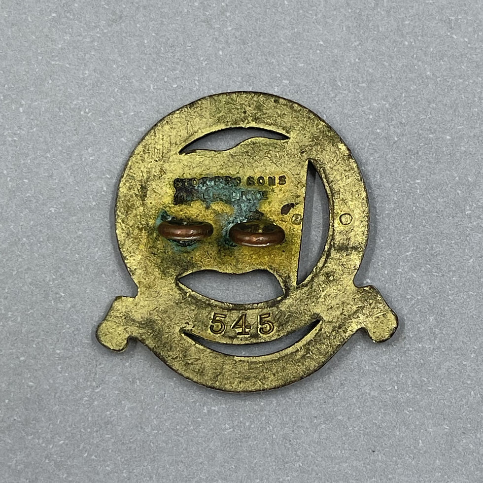 Official Government Badges | Mick's Medals and Collectables, Medal ...