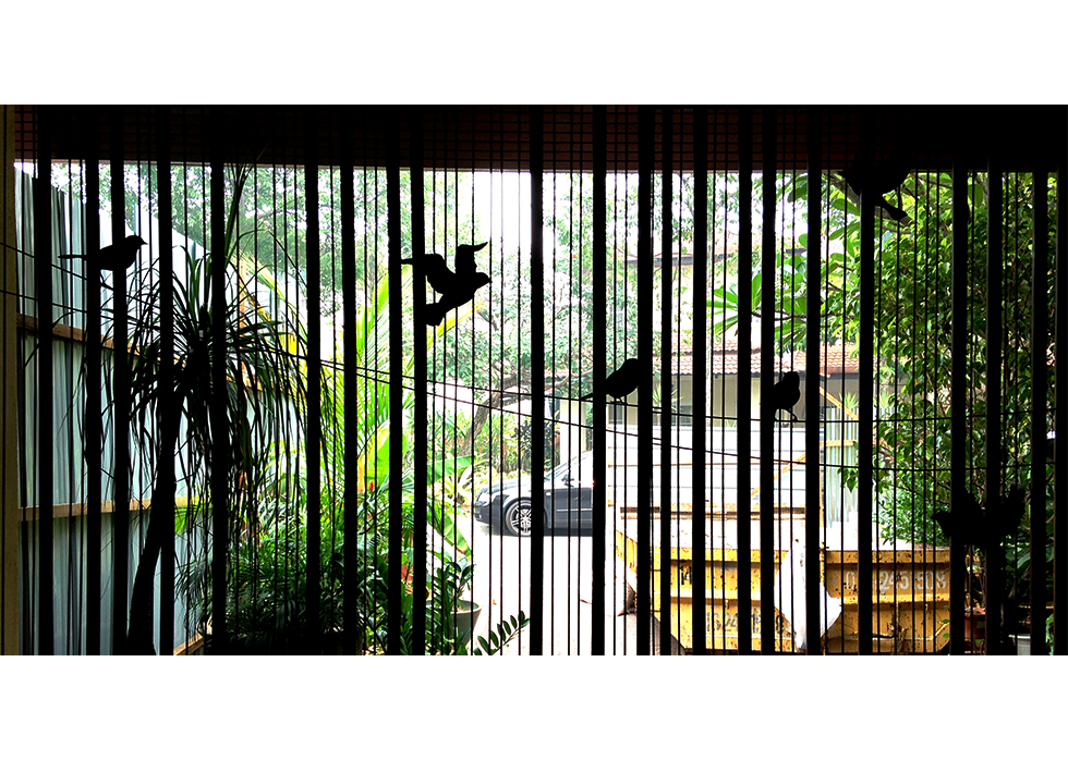 Cat Insights | ThinkCloud DesignLab