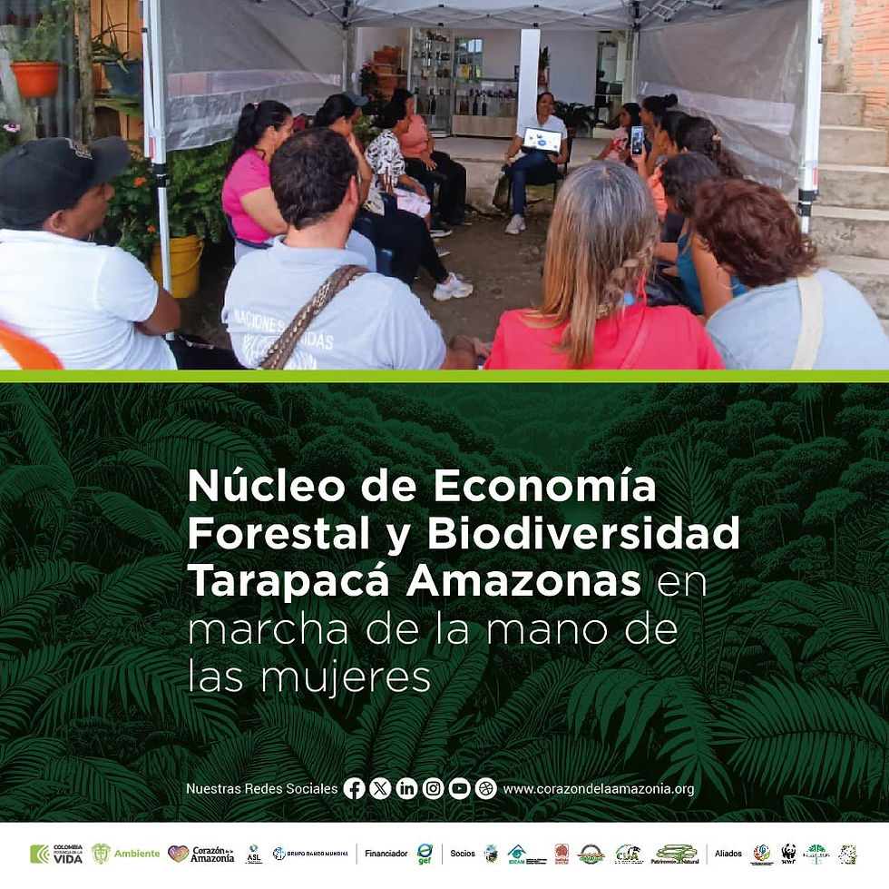 Núcleo de Economía Forestal y Biodiversidad Tarapacá Amazonas en marcha ...