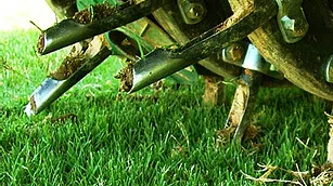 Aération de pelouse pour un gazon vert et en santé | Herbatek