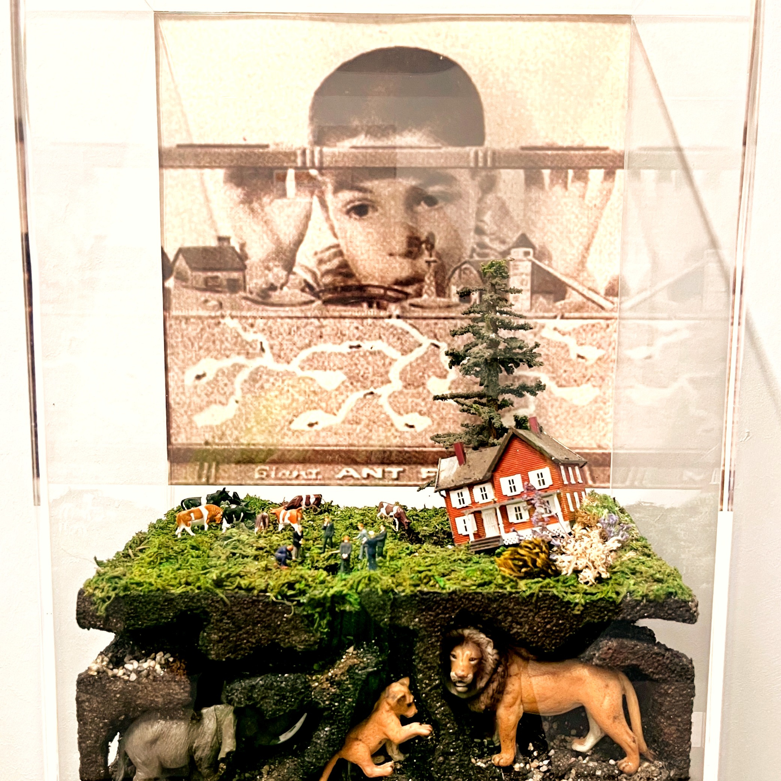 Uncovering 'The 3 Types of Emotional Triggers'