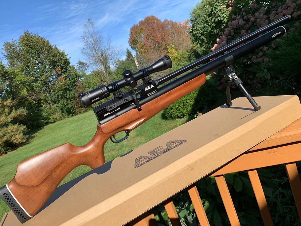 AEA AIRGUNS/ BINTAC AIRGUNS/ HOME PAGE 2/2