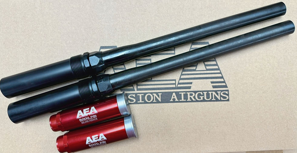 AEA AIRGUNS/ BINTAC AIRGUNS/ HOME PAGE