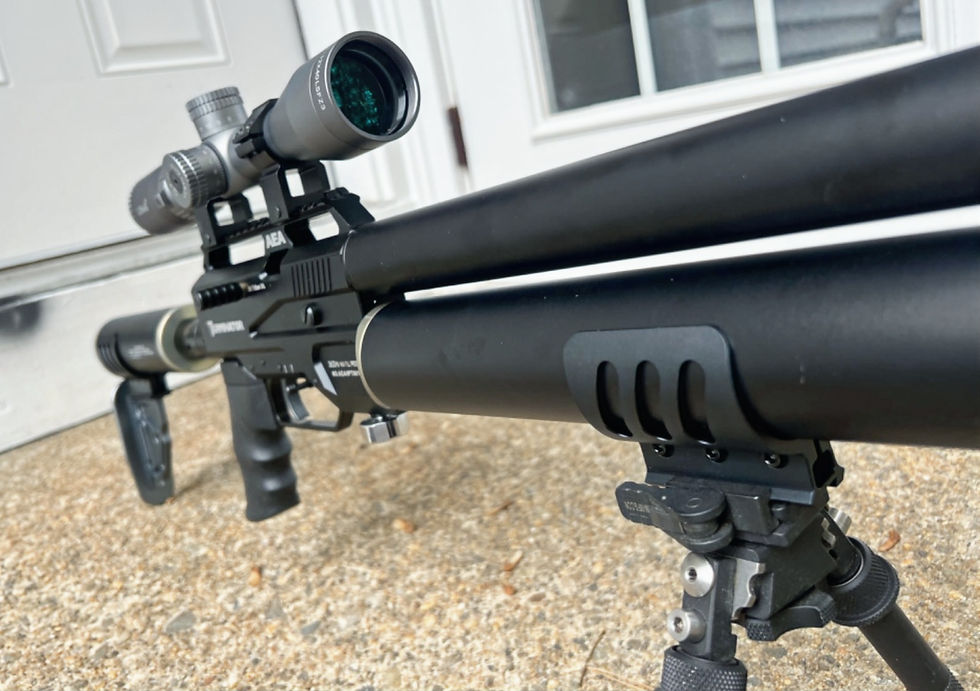 AEA AIRGUNS/ BINTAC AIRGUNS/ HOME PAGE