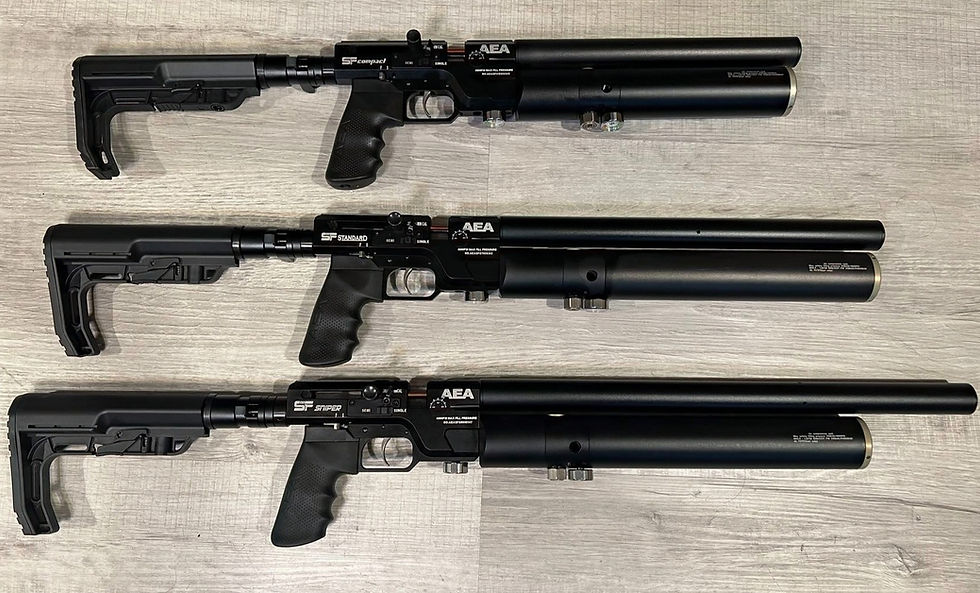 AEA AIRGUNS/ BINTAC AIRGUNS/ HOME PAGE