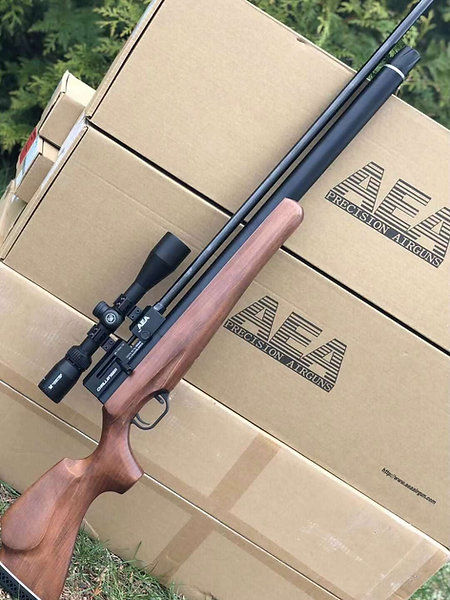 AEA AIRGUNS/ BINTAC AIRGUNS/ HOME PAGE