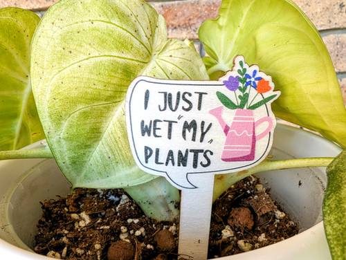 Comedic Plant Labels | Arcadia Plants