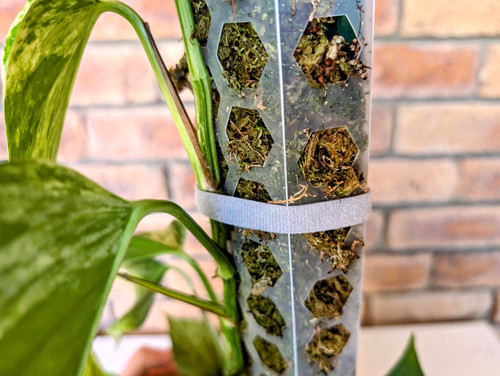 Velcro Plant Tie | Arcadia Plants