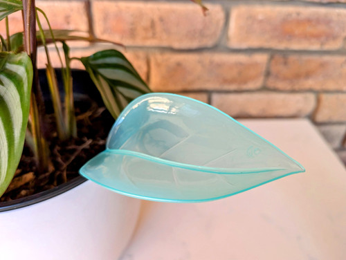 Leaf Watering Funnel | Arcadia Plants