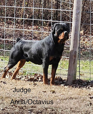 Fionna x Octavious | Thomas Rotts