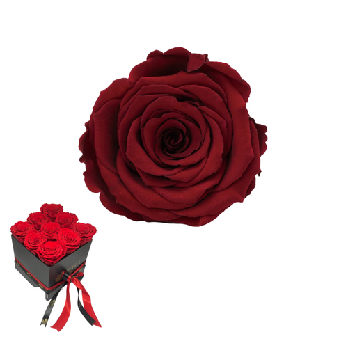 ARREGLO 9 ROSAS ROJO 01 | My Site 1