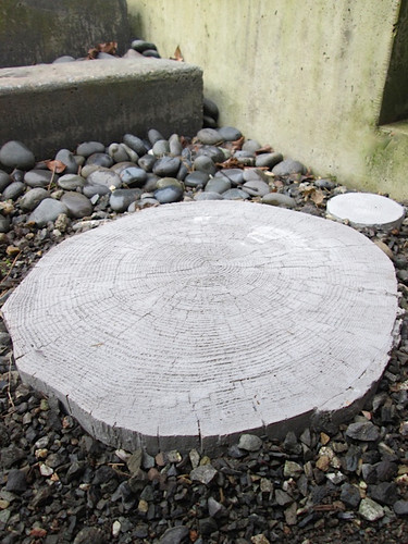 Cement Tree Ring Pavers | Gardening GaGa!