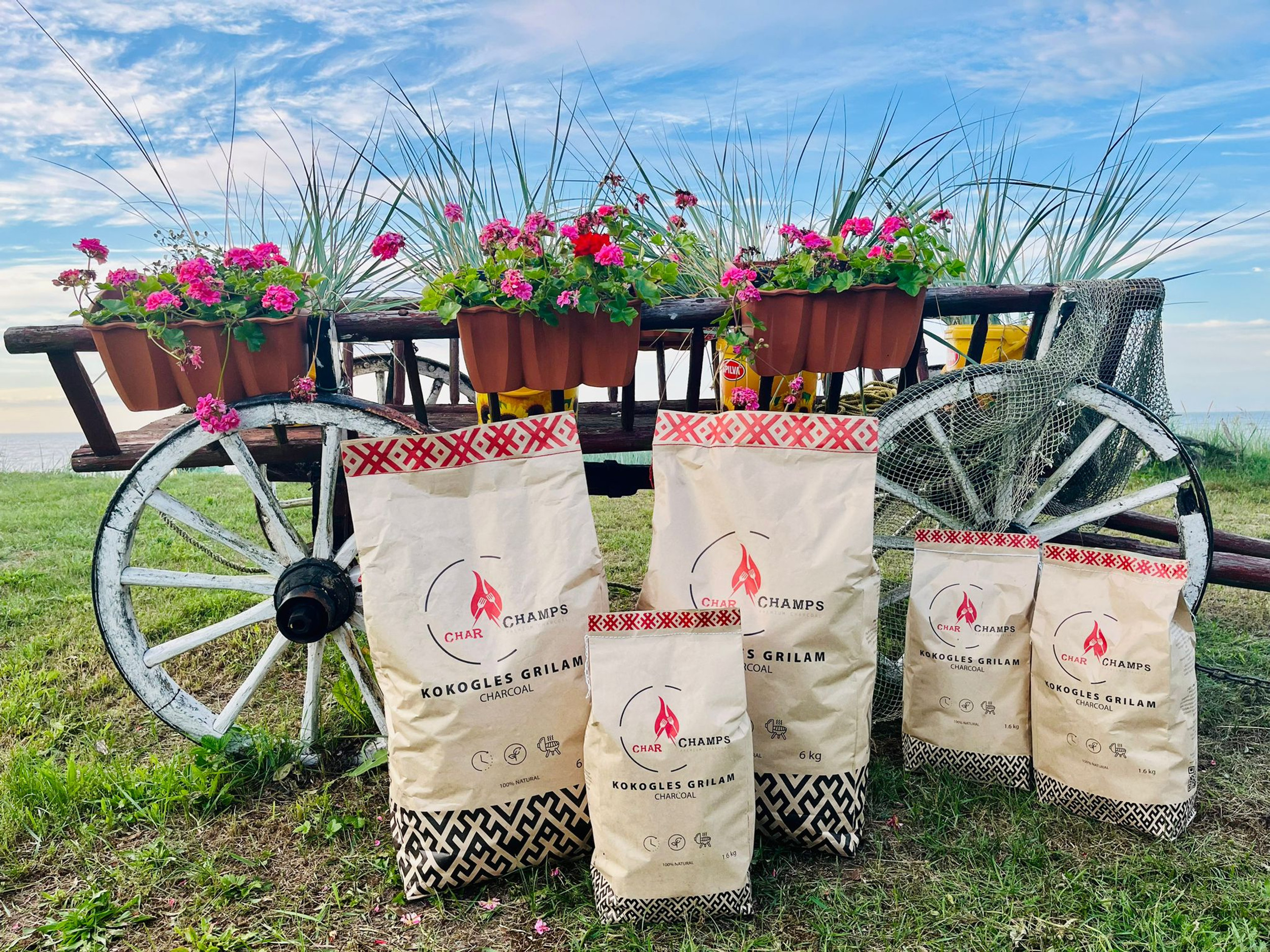 Char champs | Kokogļu ražotne | Latvijā ražotas kokogles grilam