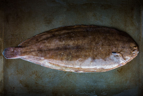 Dover Sole | Neptune's Table
