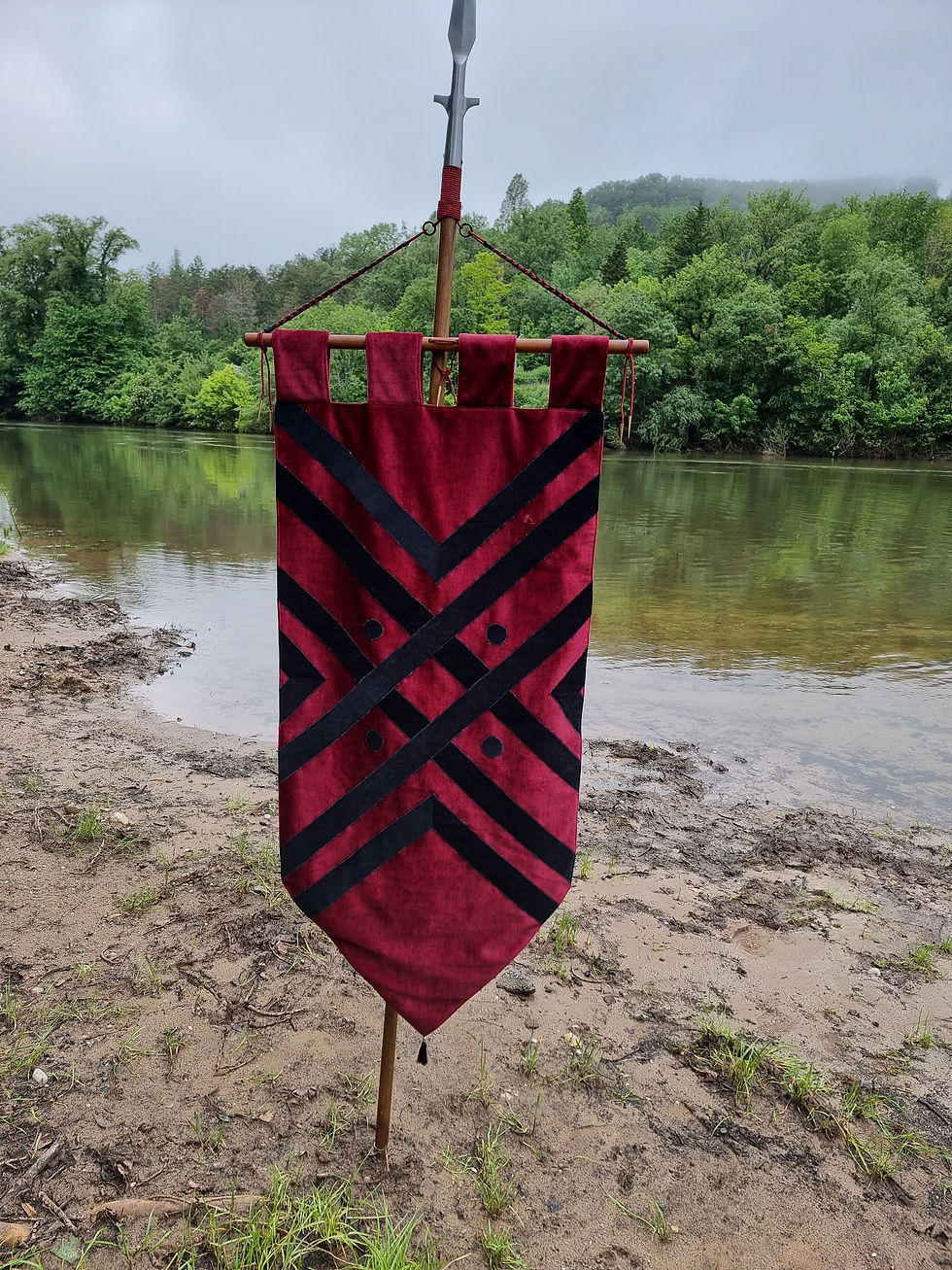 Larp banner