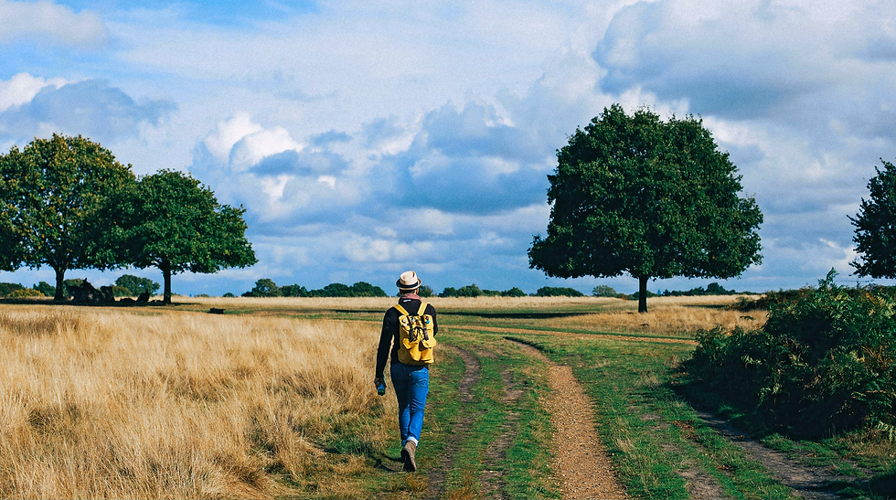 Long distance hiking trails in Europe: 90 routes, all countries
