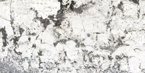 Delicatus White | Seattle Stone