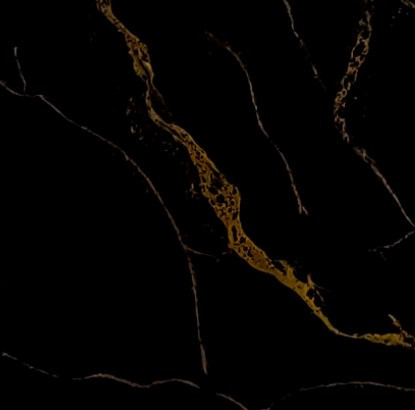 Calacatta Nero Gold™ | Seattle Stone