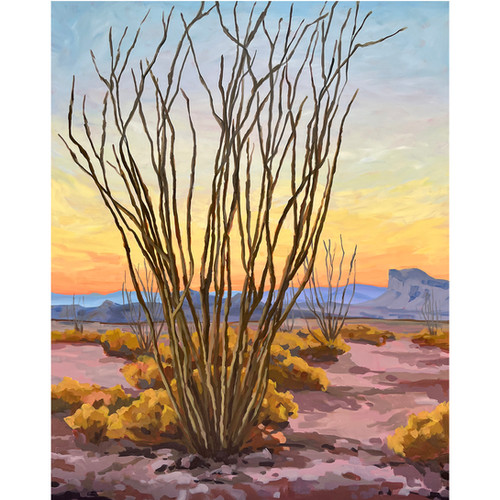 Ocotillo Sunset Print | Danika Ostrowski Art