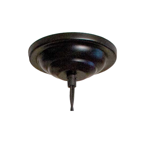 Black Ceiling Canopy Lighting Kit | Flourish Market