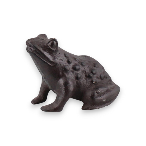 Cast Iron Garden Frog | Flourish Market
