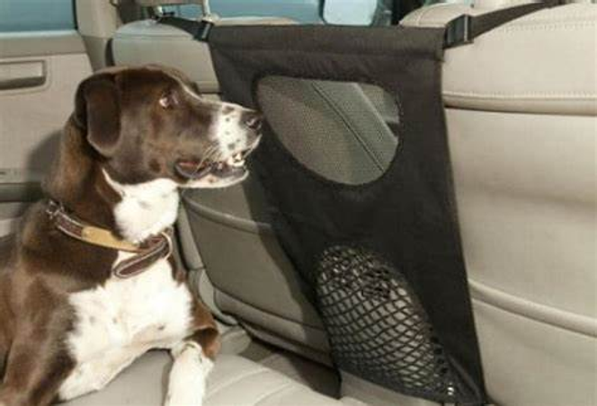 Best Ways To Restrain A Dog In The Car