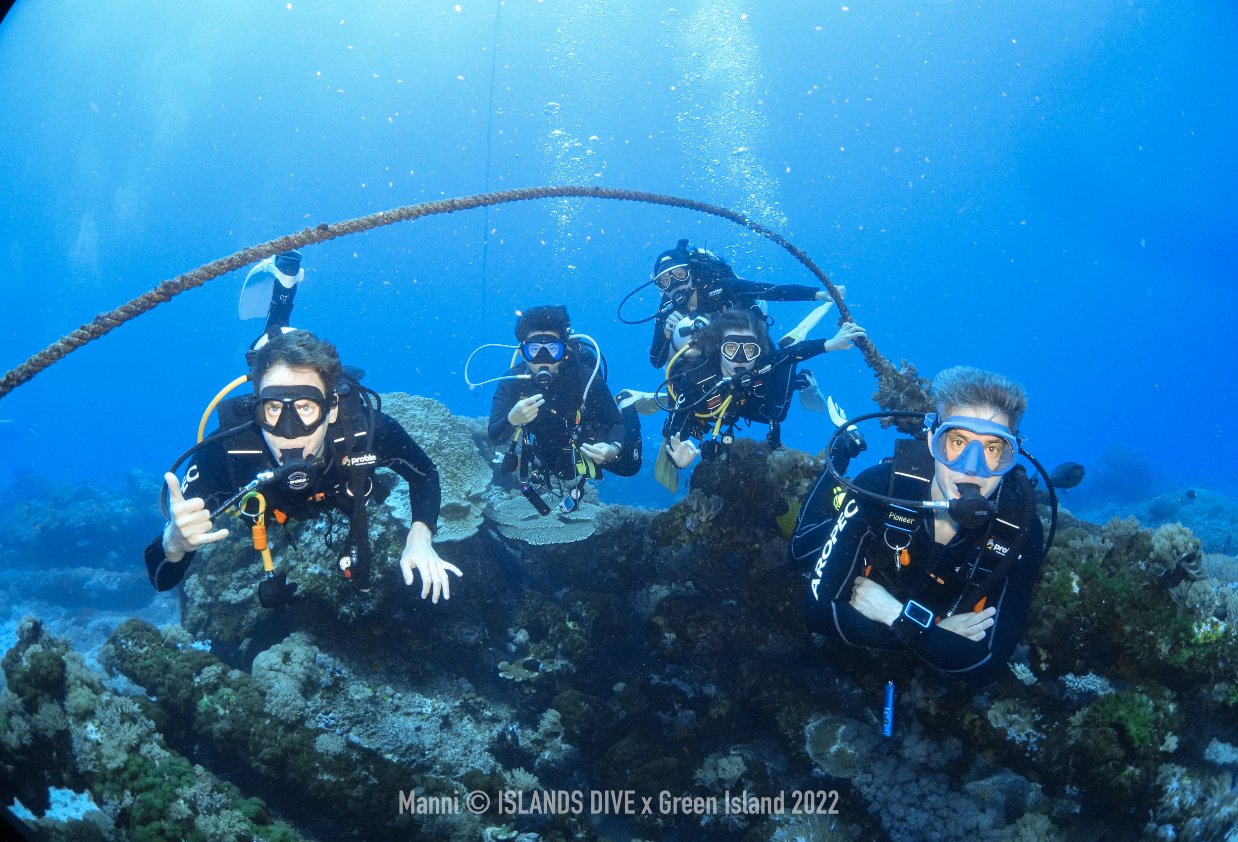 Islands Dive 島潛 | Off-Peak Season Fun Dive package (certified divers) | scuba diving | Green ...