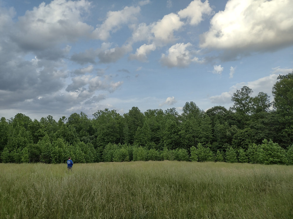 The Year We Bought The Farm the-year-we-bought-the-farm