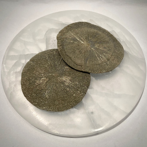 Pyrite Sun Disc | Crystal Waters