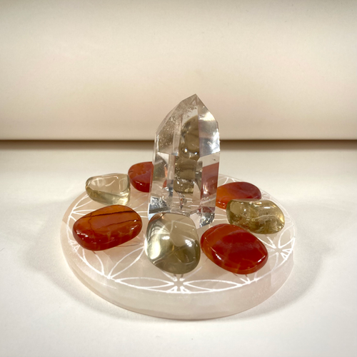 Vitality and Wellness Grid | Crystal Waters