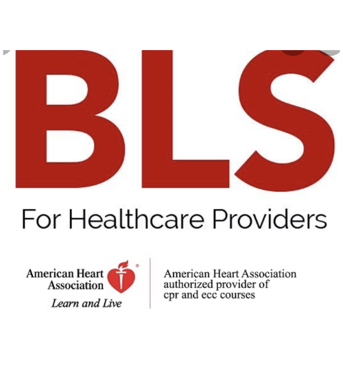 BLS/CPR/First aid